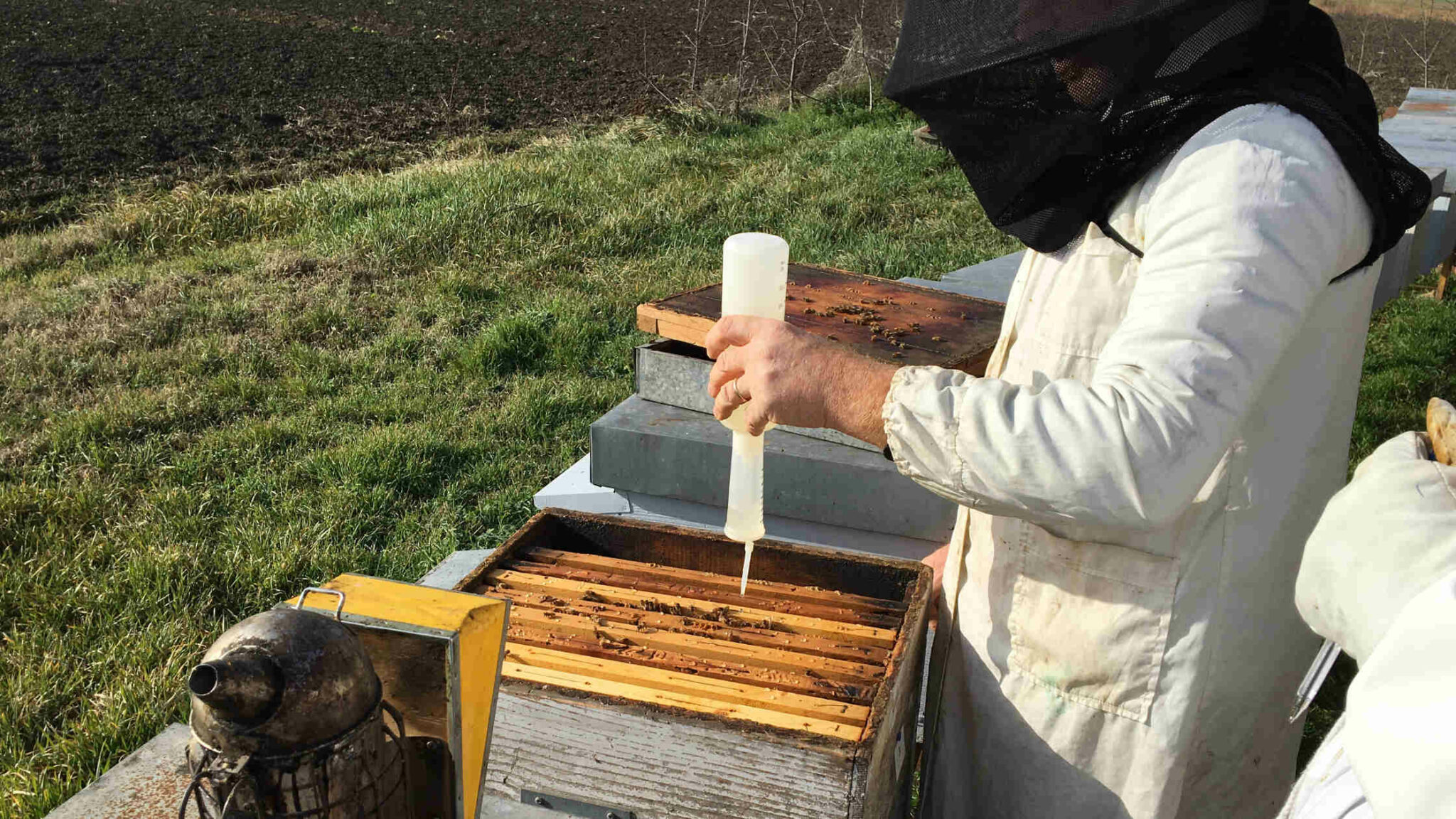 How to: oxalic acid treatments against varroa - BeeSafe