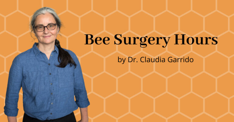 BeeSafe - Bee health consulting